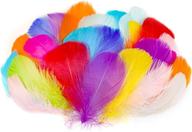 AOOTE 100pcs Feathers for Crafts,6-12cm Feathers Bulk,Vibrant Coloured ...