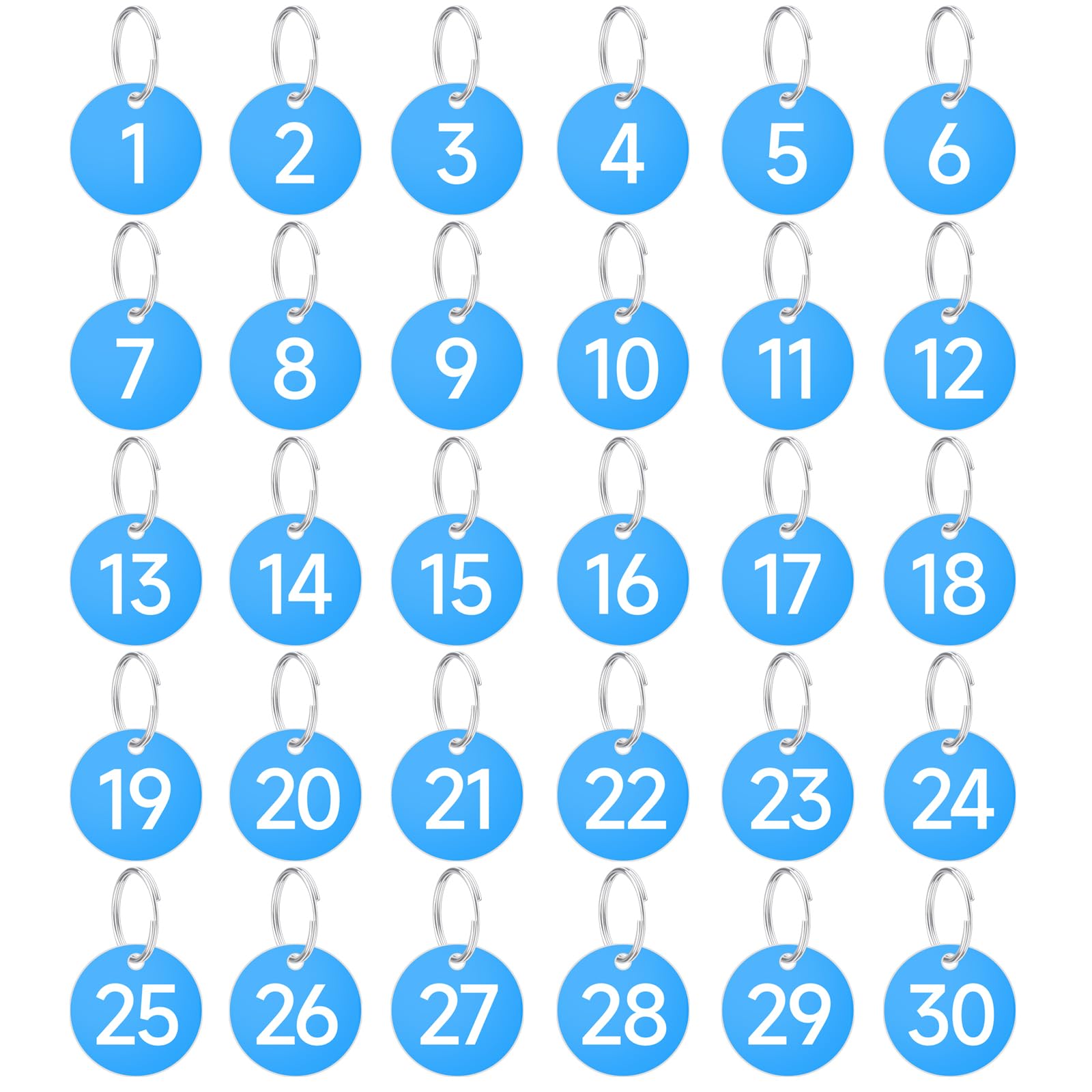 Amazon.com : cobee 1-30 Number Tags, Plastic Key Tags with Metal Rings ...