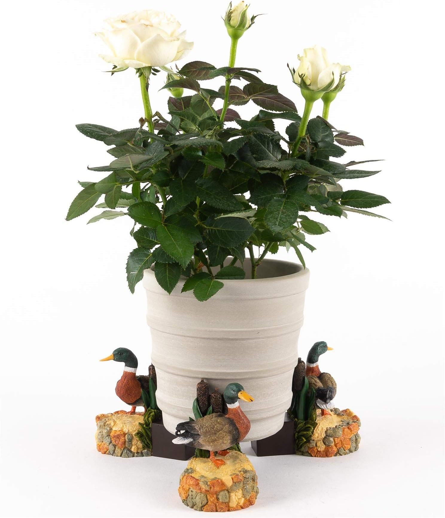 Amazon.com : Rose Plant Pot Feet - Set of 3 : Patio, Lawn & Garden