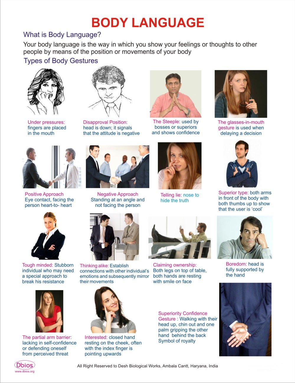 Buy Dbios Digital Printed Body Language Education Wall Chart Online at ...