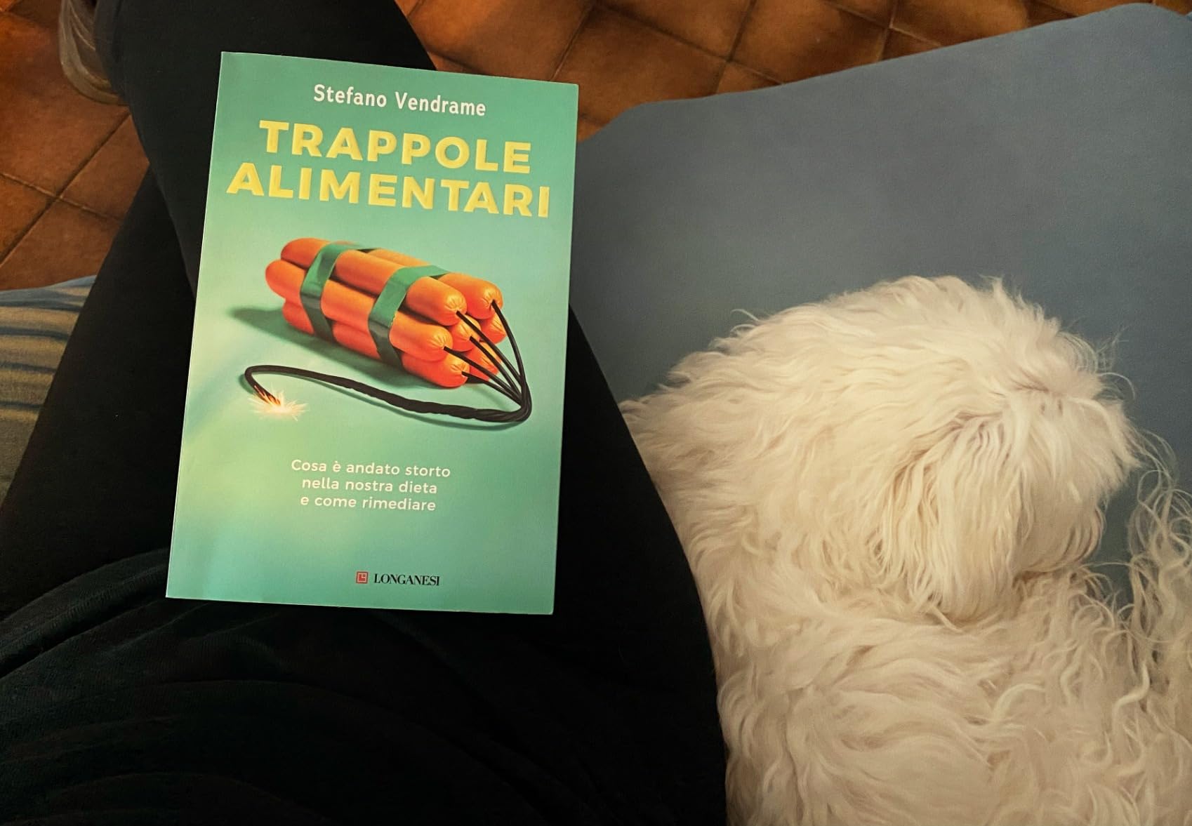 Trappole alimentari. Cosa è andato storto nella nostra dieta e come ...