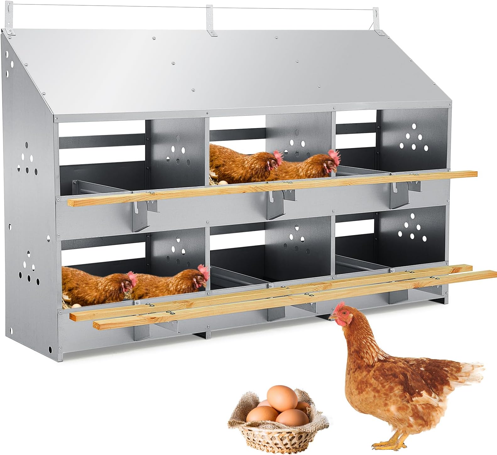 Amazon.com: Nosiny 12 Hole 80 Hen Capacity Chicken Nesting Box for ...