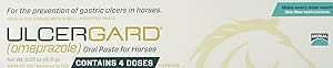 Merial UlcerGard (omeprazole) Oral Paste Syringe (6.15 gm) : Amazon.com ...