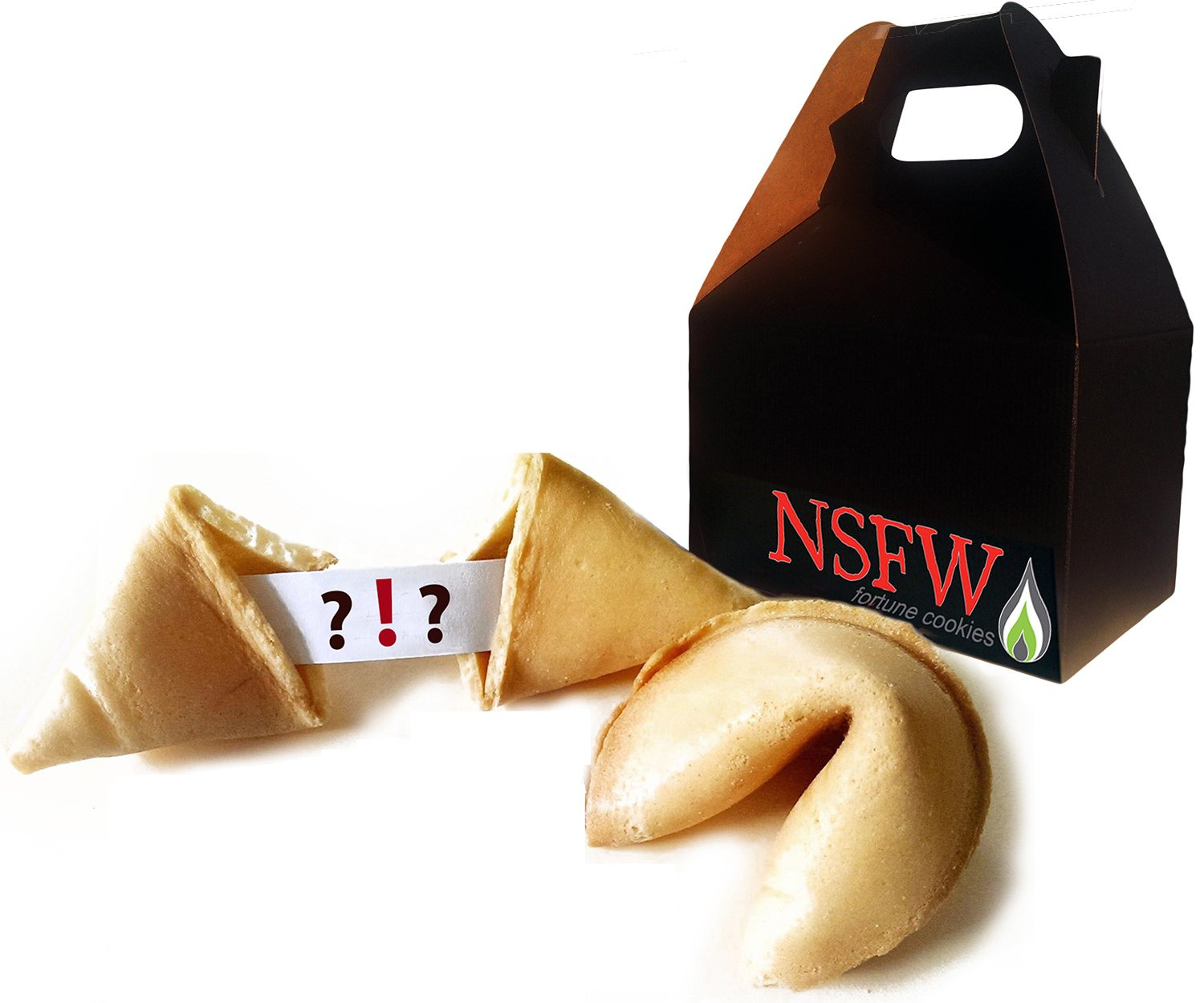 Amazon.com : NSFW Fortune Cookies: Inappropriate Edition (Insulting ...