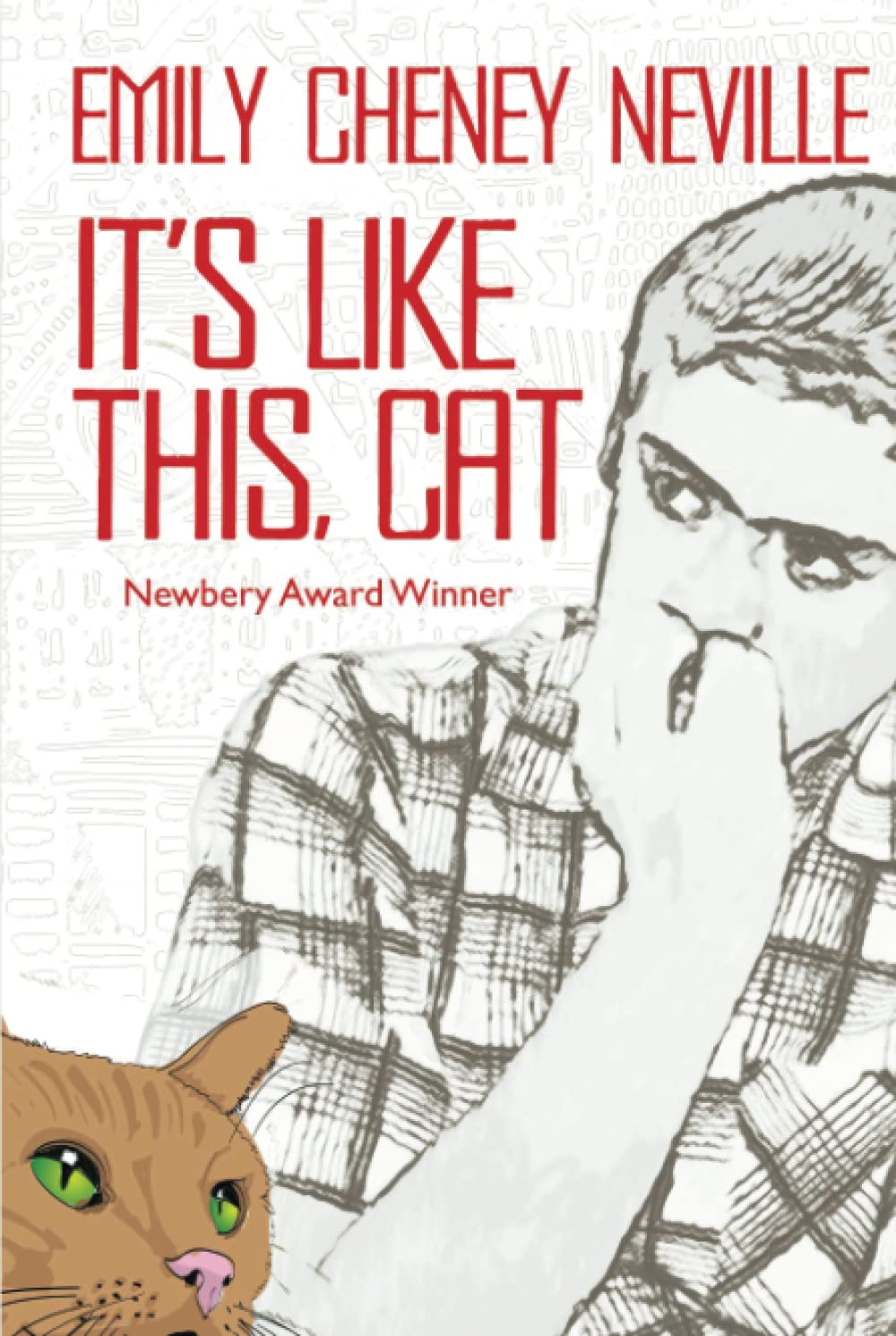 Amazon.com: It's Like This, Cat: 9781479464548: Neville, Emily Cheney ...