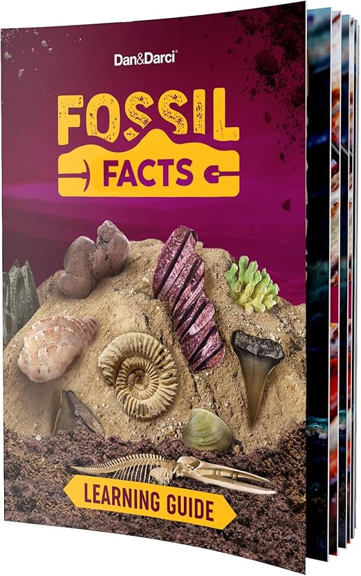 Mega Fossil Dig Kit - Dig Up 15 Real Fossils (Dinosaur Bones, Sharks ...