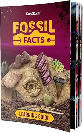 Mega Fossil Dig Kit - Dig Up 15 Real Fossils (Dinosaur Bones, Sharks ...