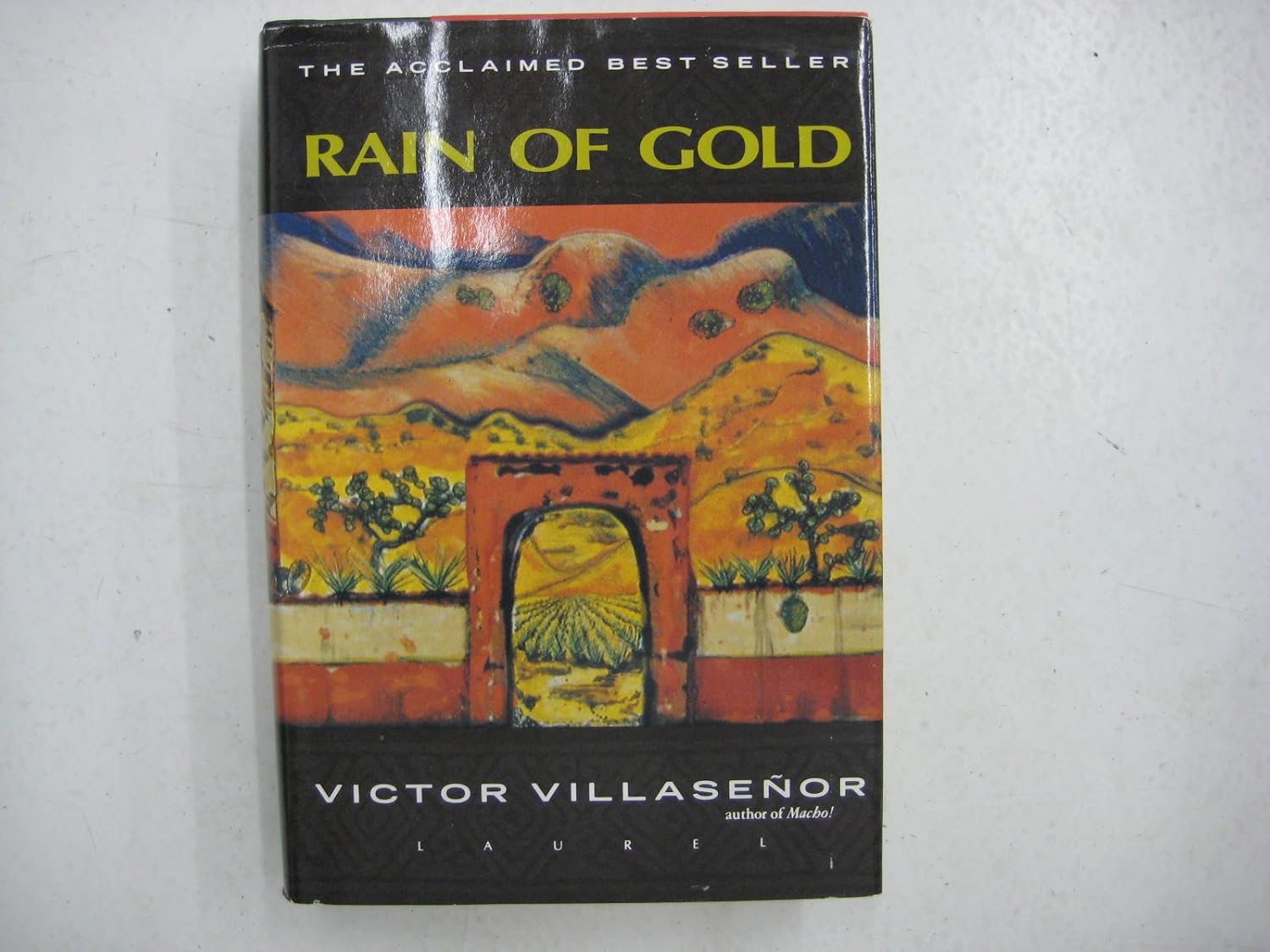 Rain of Gold: Villasenor: 9781558850309: Amazon.com: Books