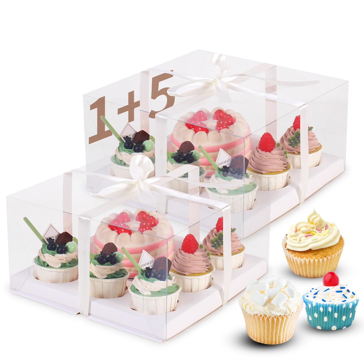 Amazon.com: PFAMKEER 3Pcs Bento Cake Box and Cupcake 1+5 Combination ...