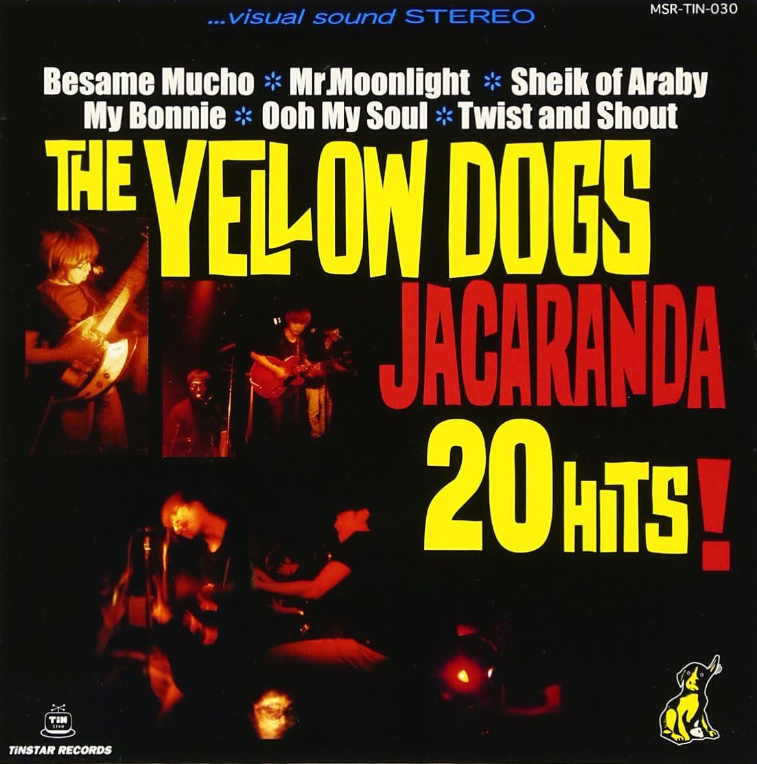 Amazon.co.jp: YELLOW DOGS: ミュージック