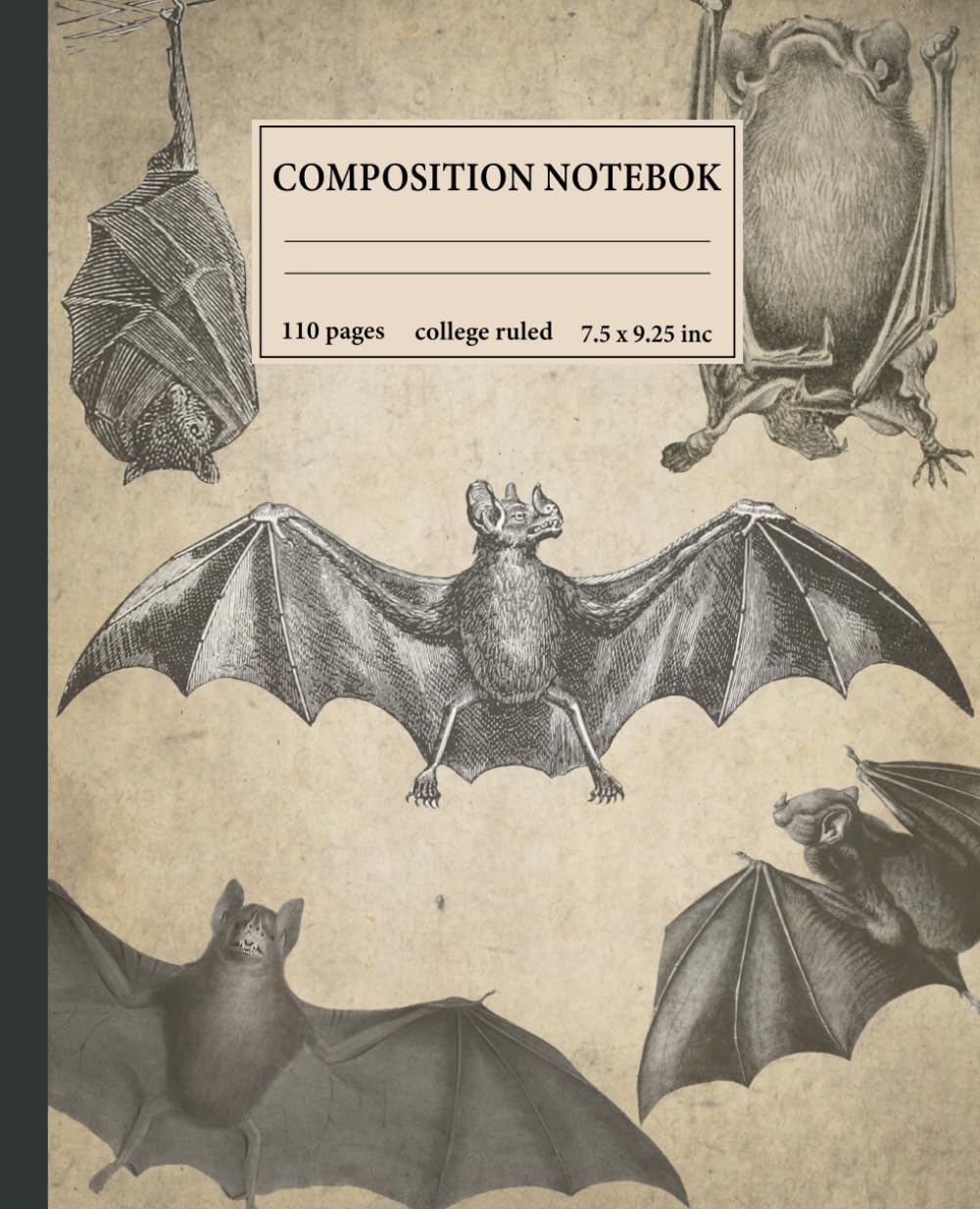 Vintage Bats Composition Notebook: Aesthetic Bats Composition Notebook ...