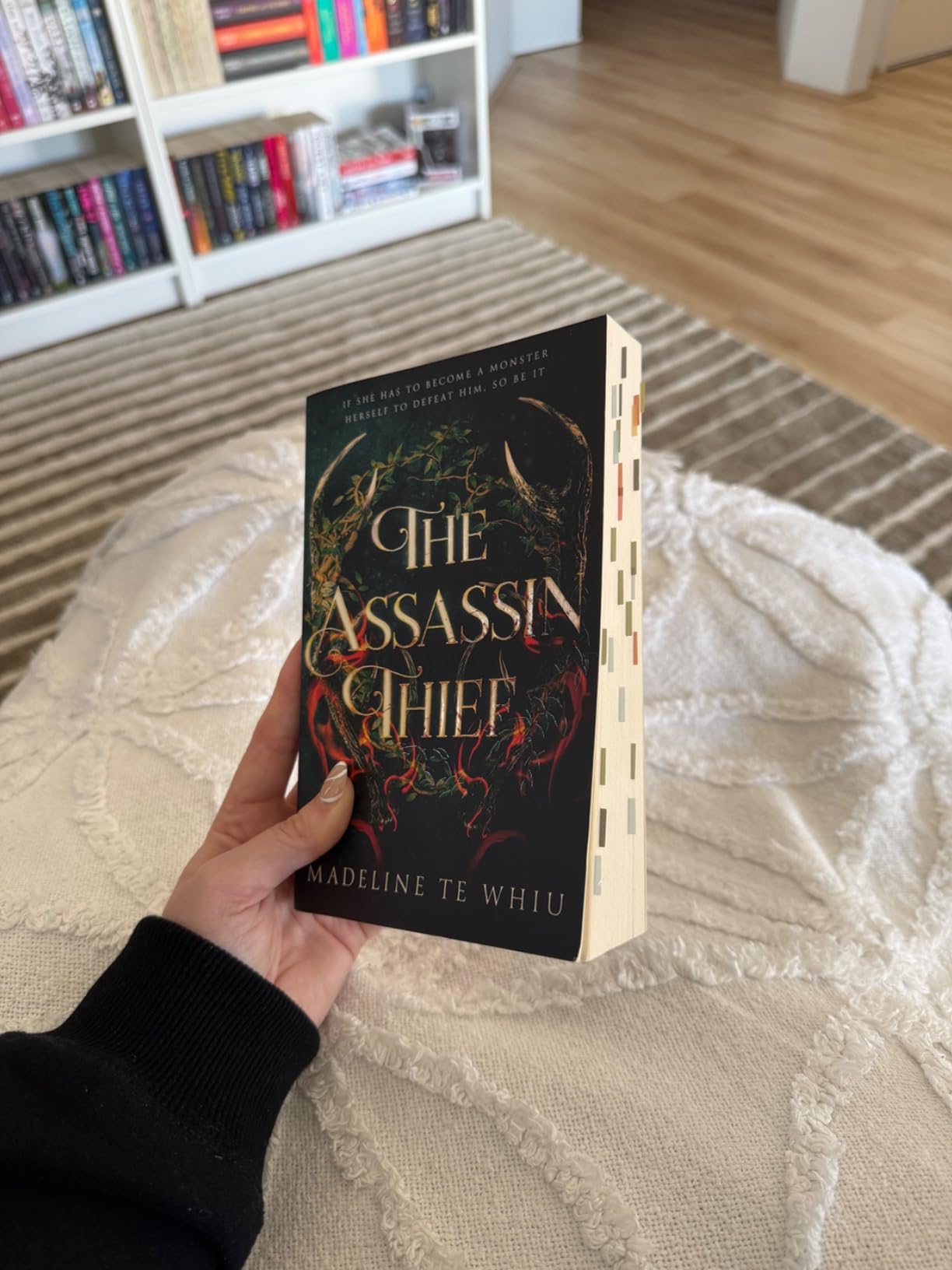 The Assassin Thief (The Soul Thief Trilogy Book 1) eBook : Te Whiu ...