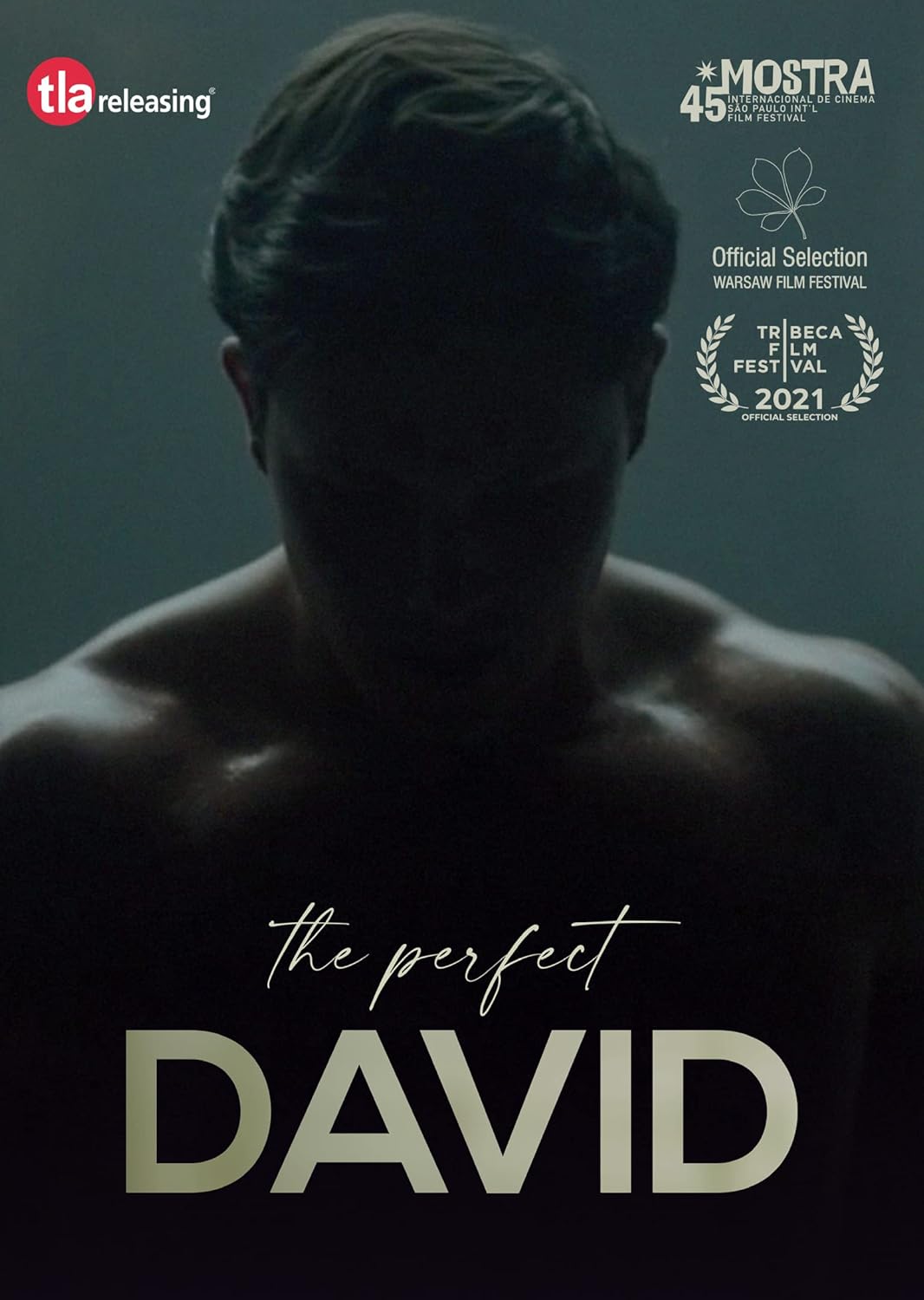 The Perfect David [DVD]: Amazon.co.uk: Umbra Colombo, Mauricio di Yorio ...