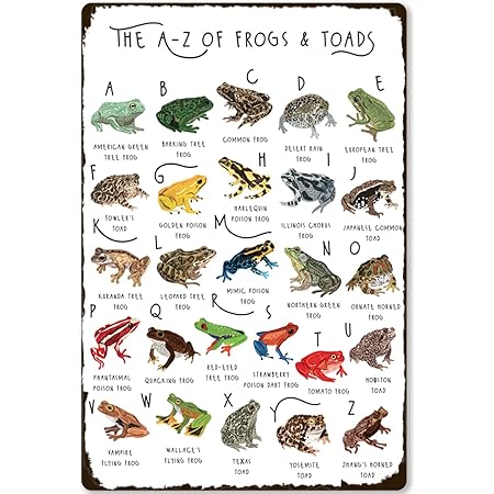 Amazon.com: Frogs & Toads of the World Educational Science Classroom ...