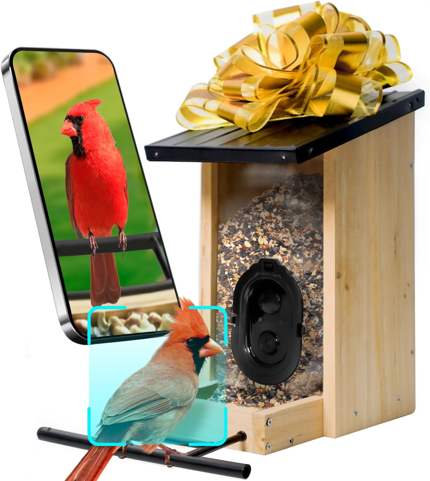 Amazon.com : Smart Bird Feeder with Camera, Solar Powered, AI Identify ...