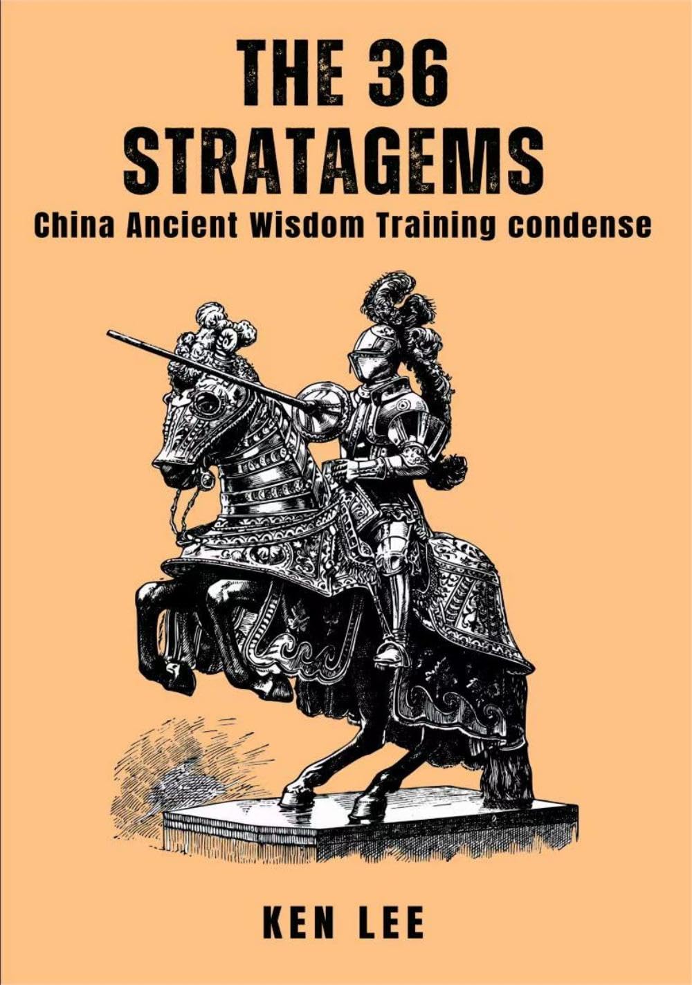 Amazon.com: The Thirty-Six stratagems: China Ancient Wisdom Training ...