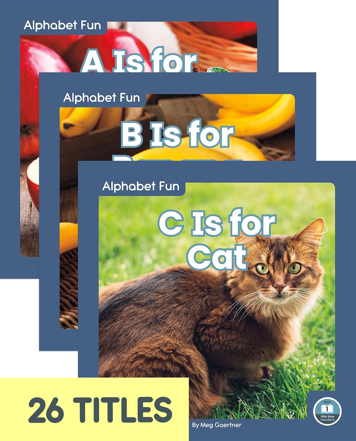 Alphabet Fun (Set of 26): Various: 9781646193646: Amazon.com: Books