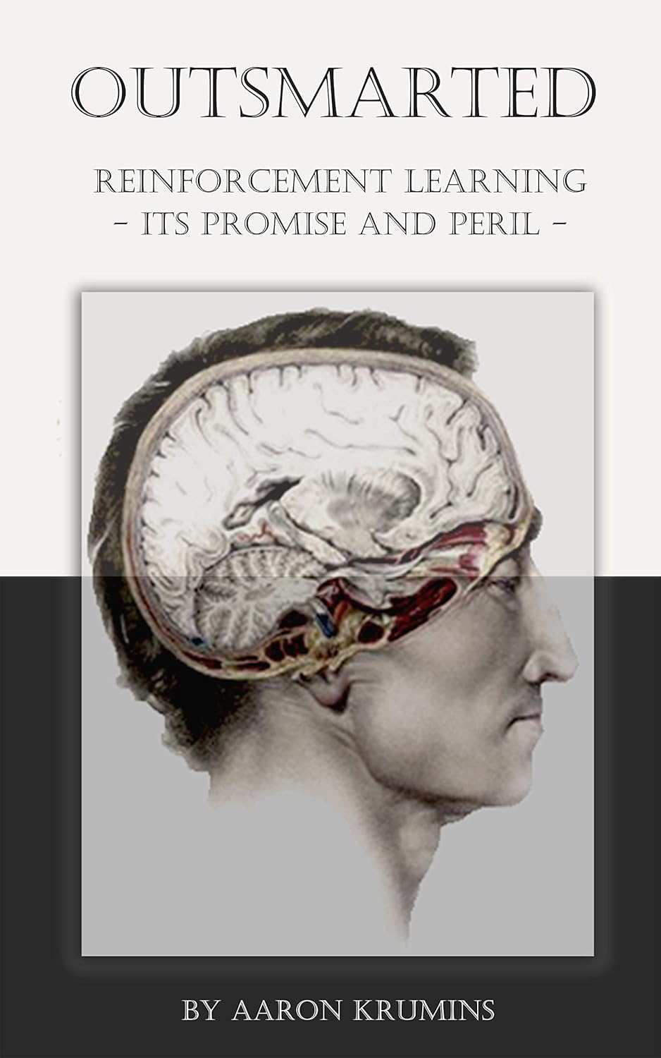 Outsmarted: Reinforcement Learning – It’s Promise and Peril eBook : Krumins, Aaron: Amazon.in ...