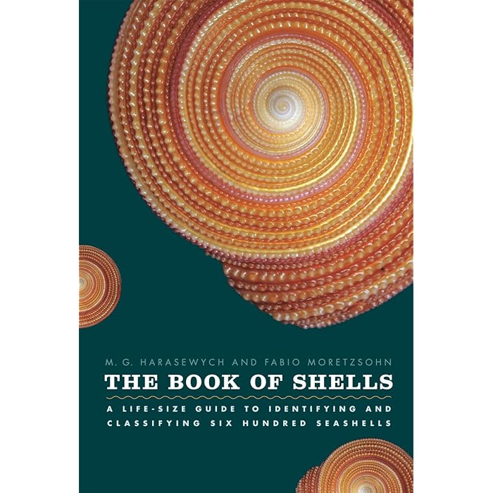 Buy The Book of Shells: A Life-Size Guide to Identifying and ...