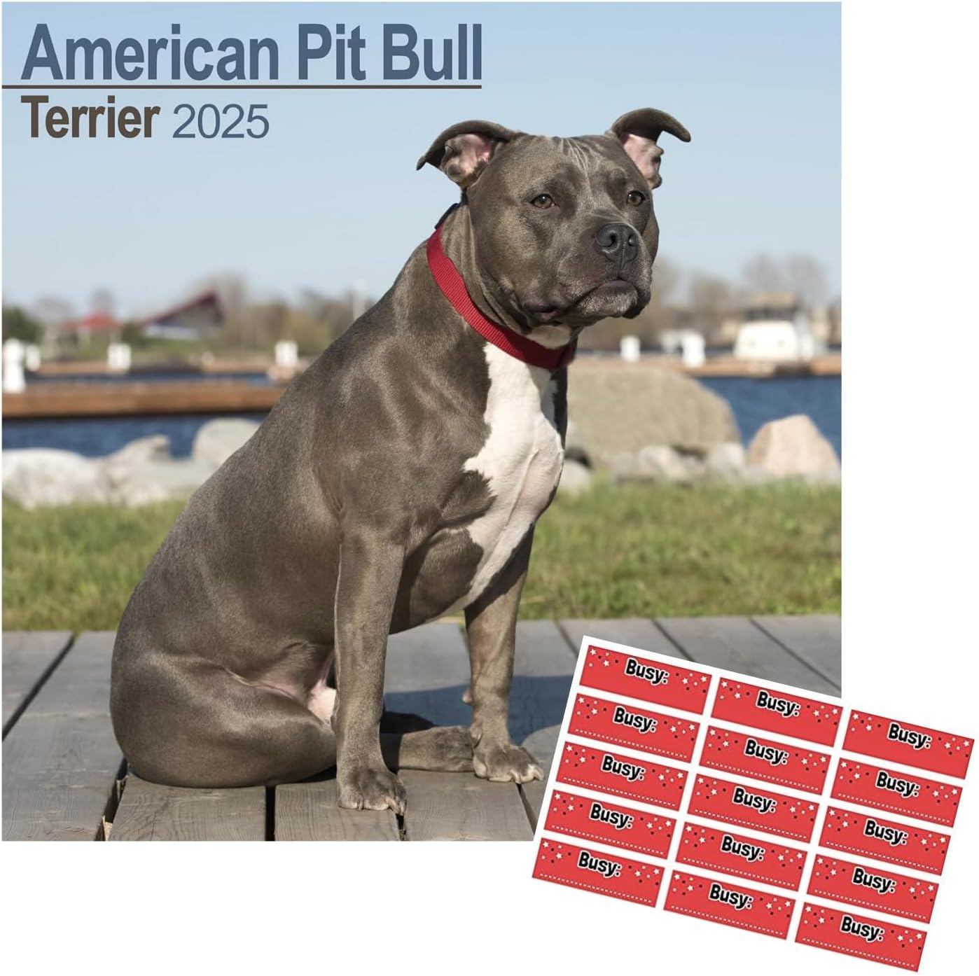 American Pit Bull Terrier Calendar 2025 with FREE Organisational ...