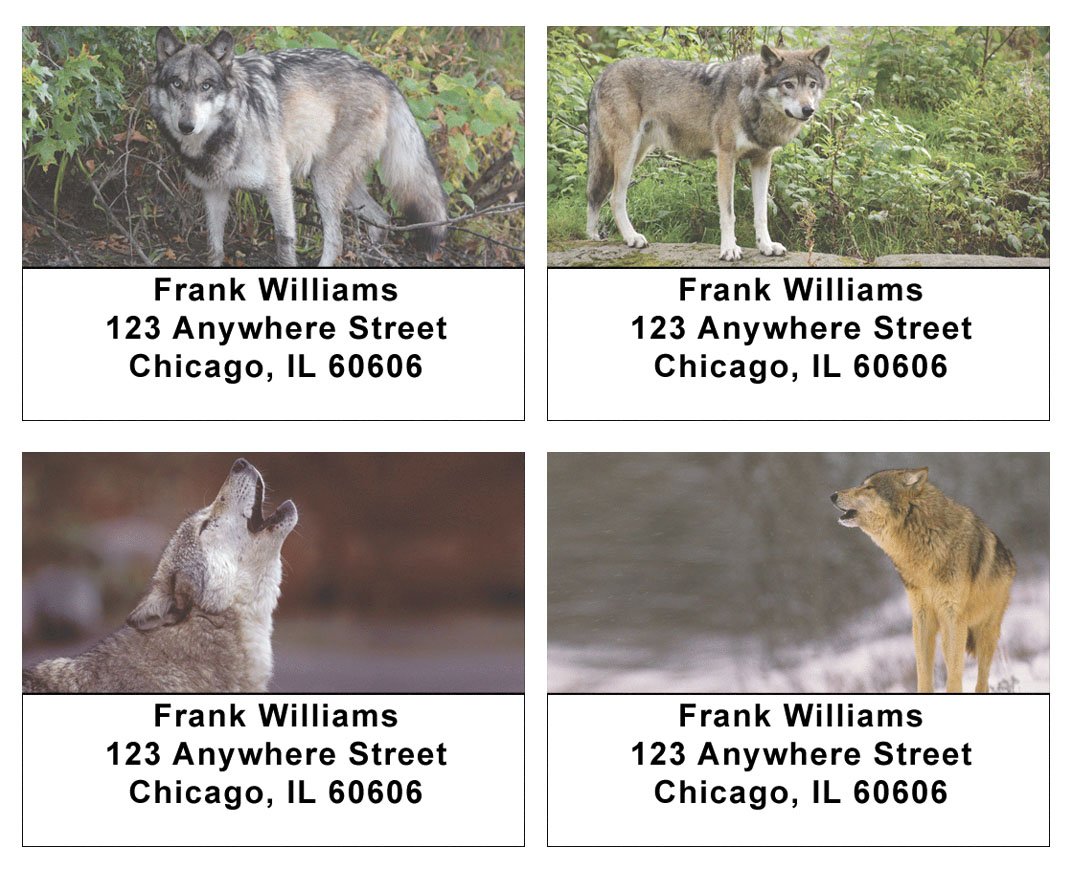 Amazon.com : Grey Wolves Address Labels : Office Products