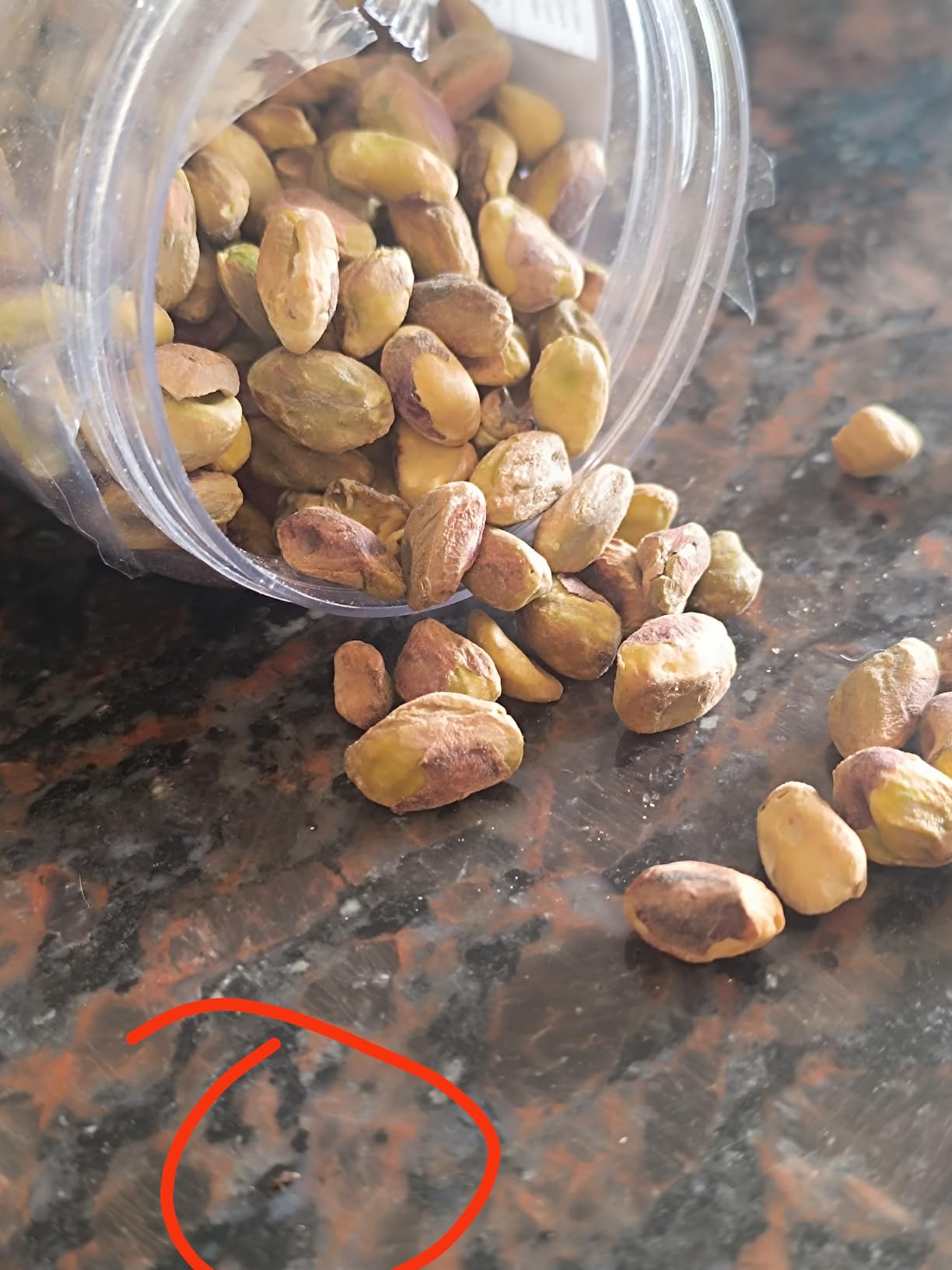 Nutrilin Pistachios Kernels Without Shell, Sada Pista, Mota Pista (250g ...