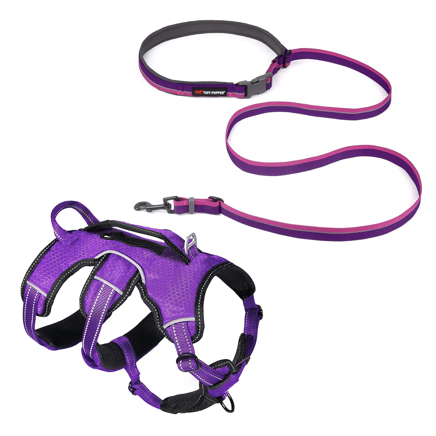 Amazon.com : Hands Free Adjustable Length Dog Leash with Padded Waist ...