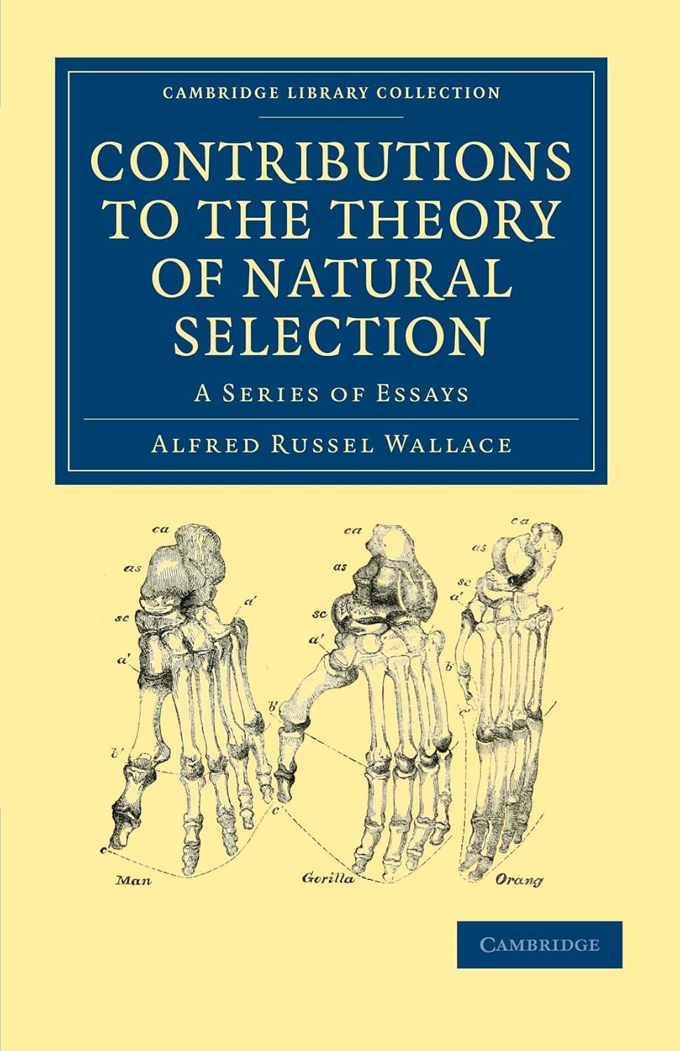 Amazon.com: Contributions to the Theory of Natural Selection: A Series ...