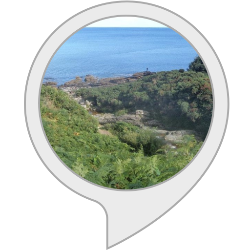 Amazon.com: Irish Facts : Alexa Skills