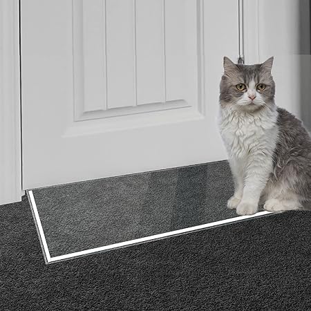 Amazon.com: Carpet Protector for Pets, Clear Non-Skid Cats Dogs Carpet ...
