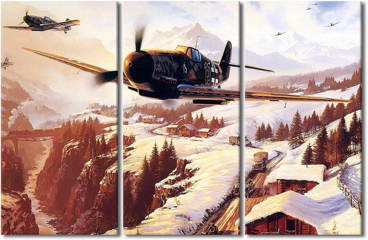 Amazon.com: Wall Art for Living Room 3 Panel Aircraft Paintings ...