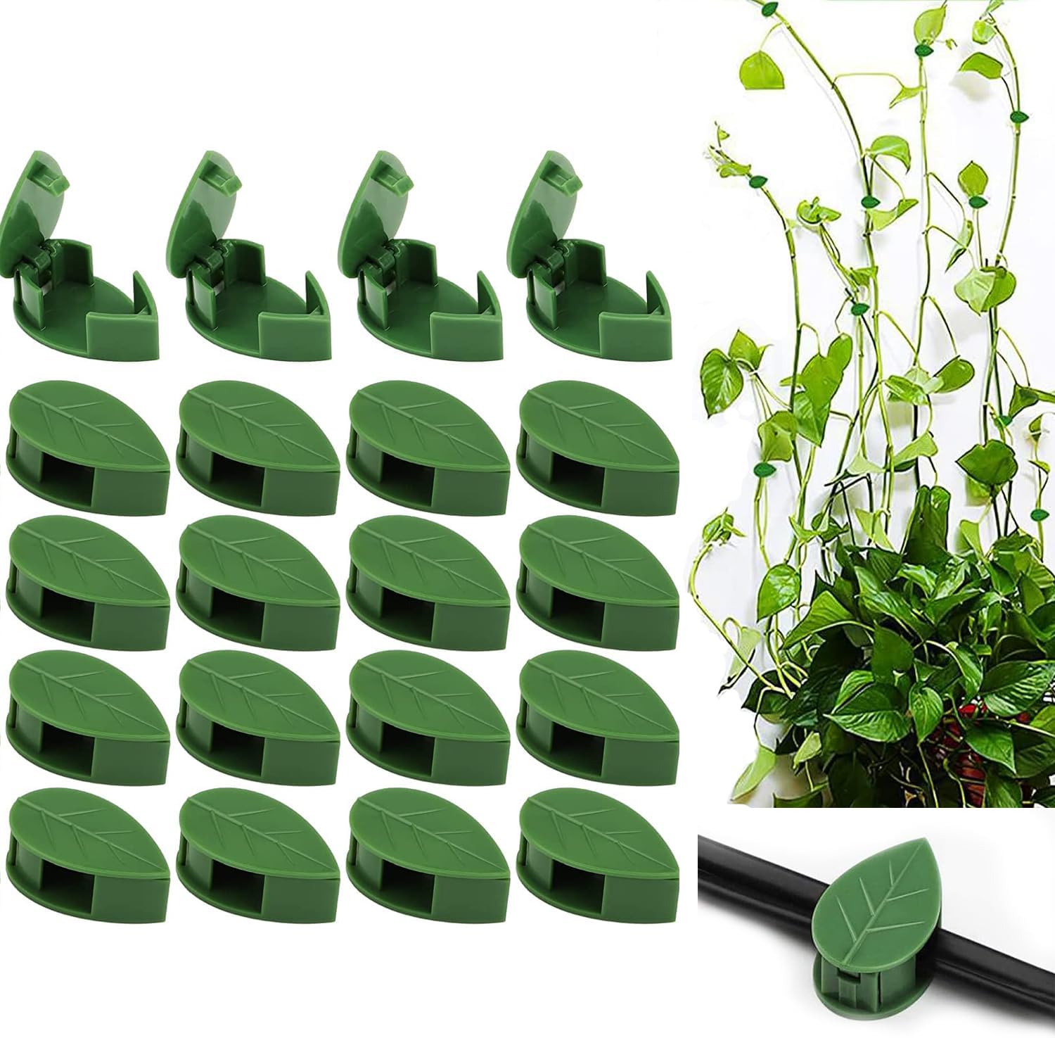 60 Pcs Invisible Plant Climbing Wall Fixture Clips,Hanging Plant Clips ...