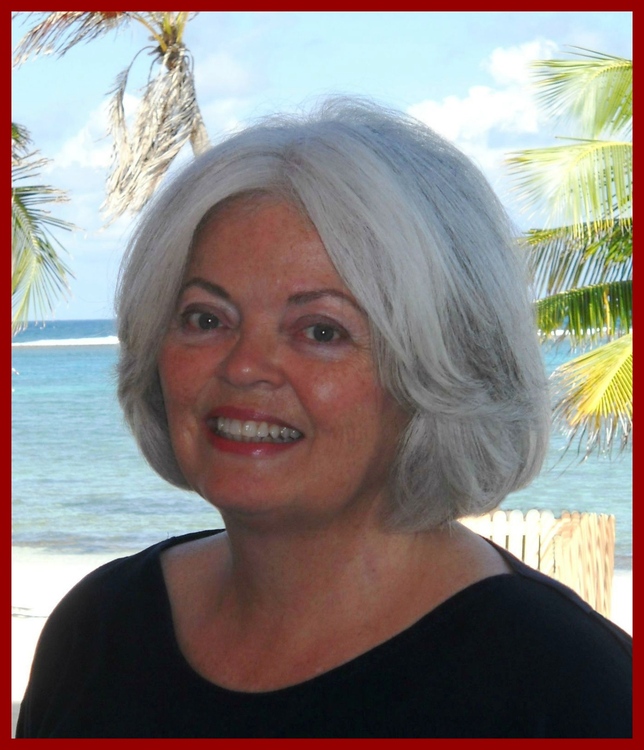 Amazon.co.uk: Susan Connell: books, biography, latest update