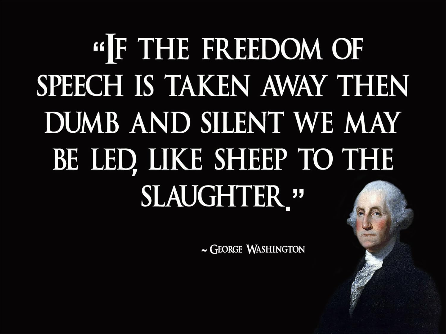 Amazon.com: George Washington Poster George Washington Quote ...