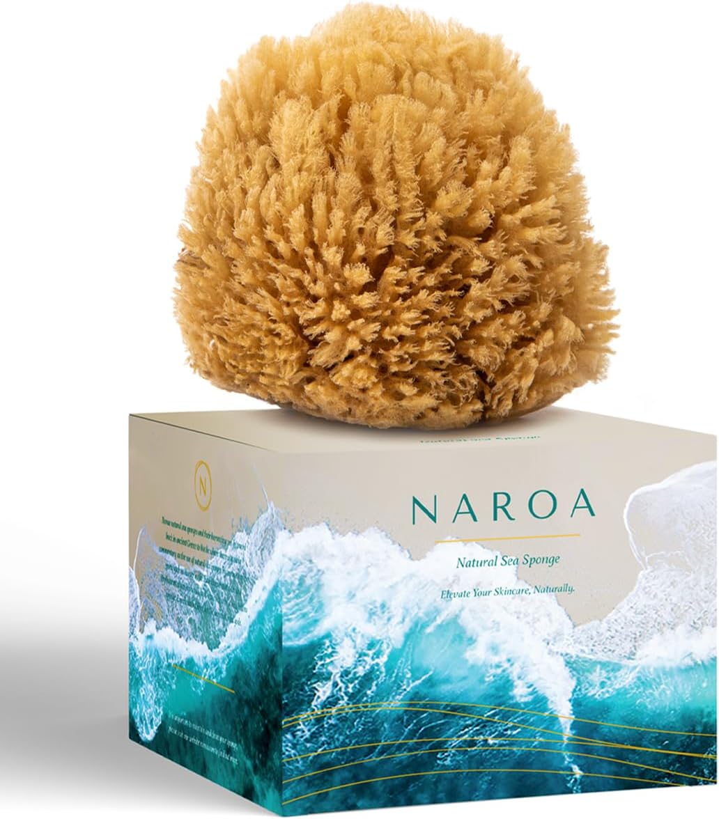 Amazon.com: NAROA Natural Shower Sponge in Nice Box | Exfoliating Sea ...