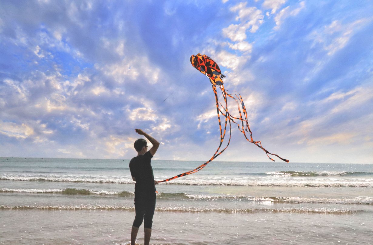 Snapklik.com : Kizh Kite Octopus Large Frameless Soft Parafoil Kites ...
