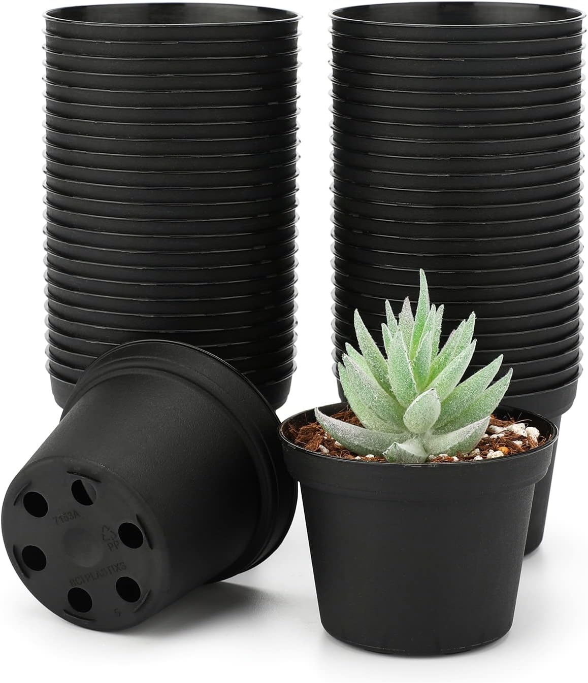 KINGLAKE 8Pcs Small Black Plant Pots Indoor 10cm Plastic Flower Pots ...