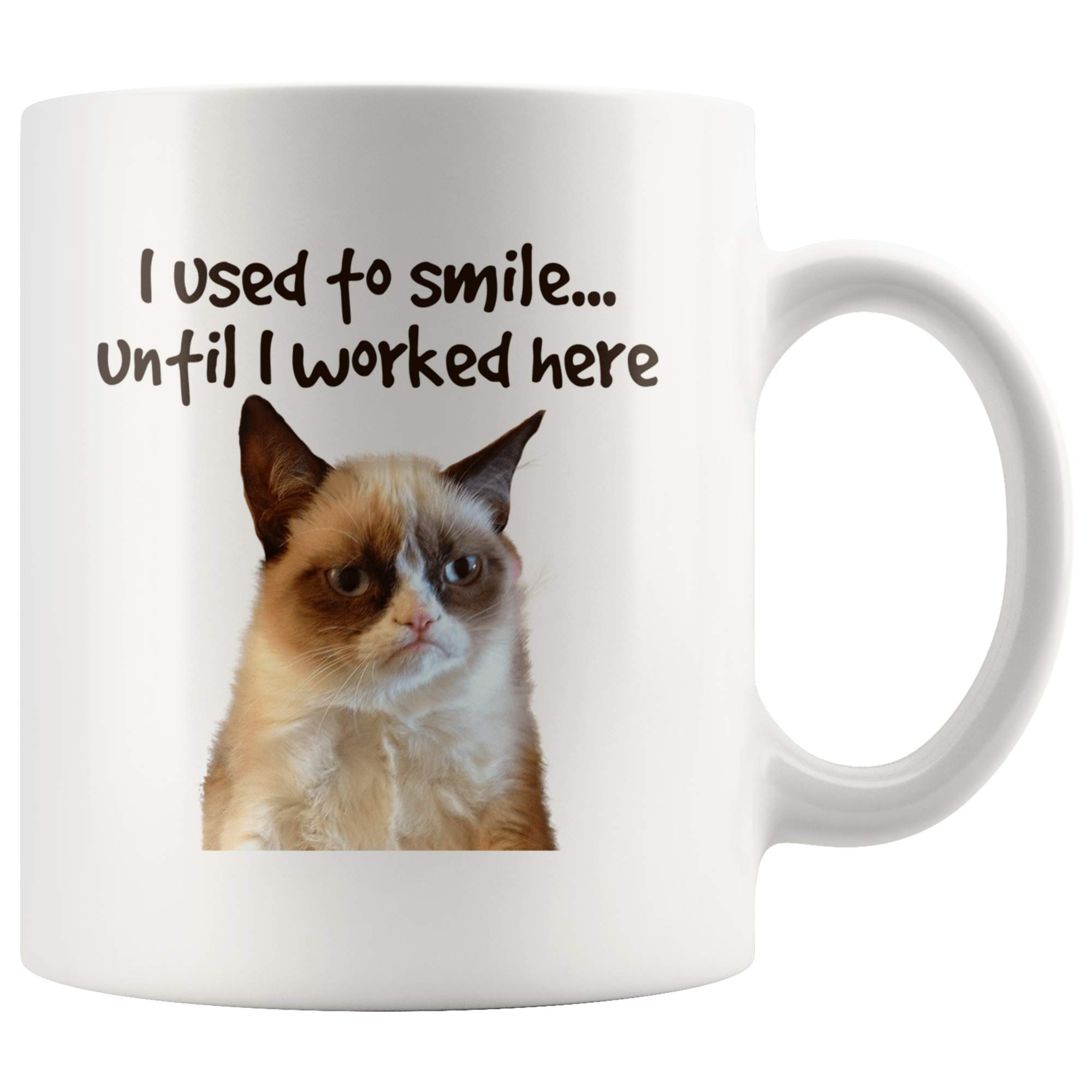 Grumpy Cat Coworkers