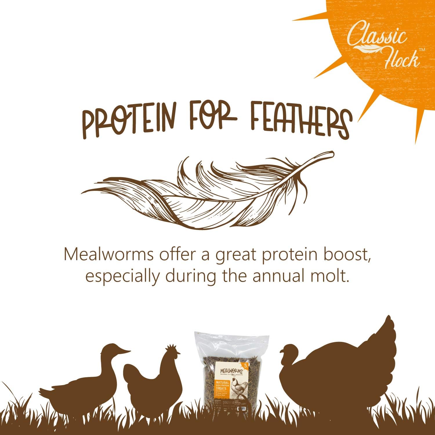 Snapklik.com : Classic Flock 5LB Dried Mealworms For Chicken Hen Birds ...