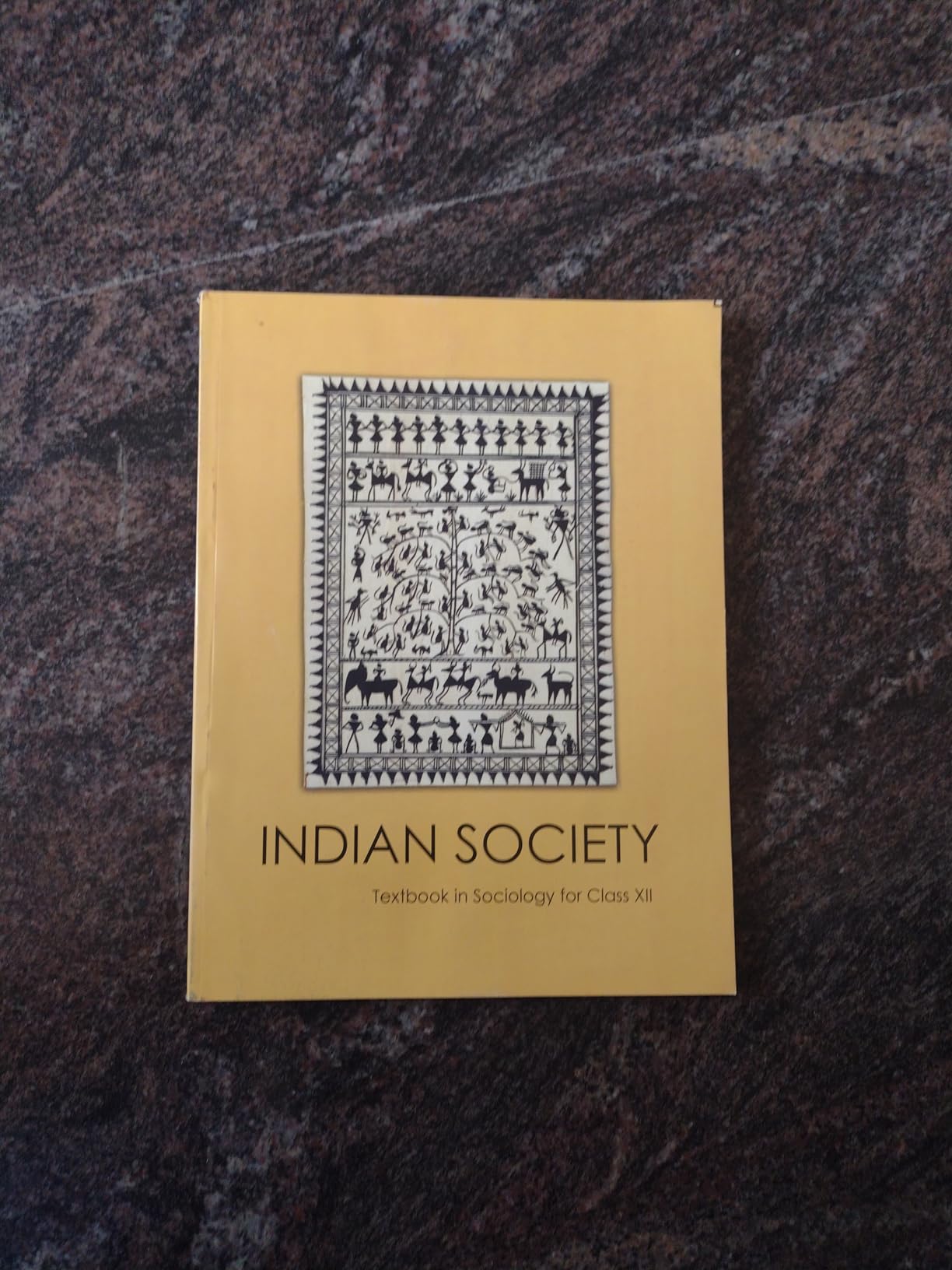 Indian Society - Sociology For Class - 12 - 12111 : NCERT: Amazon.in: Books