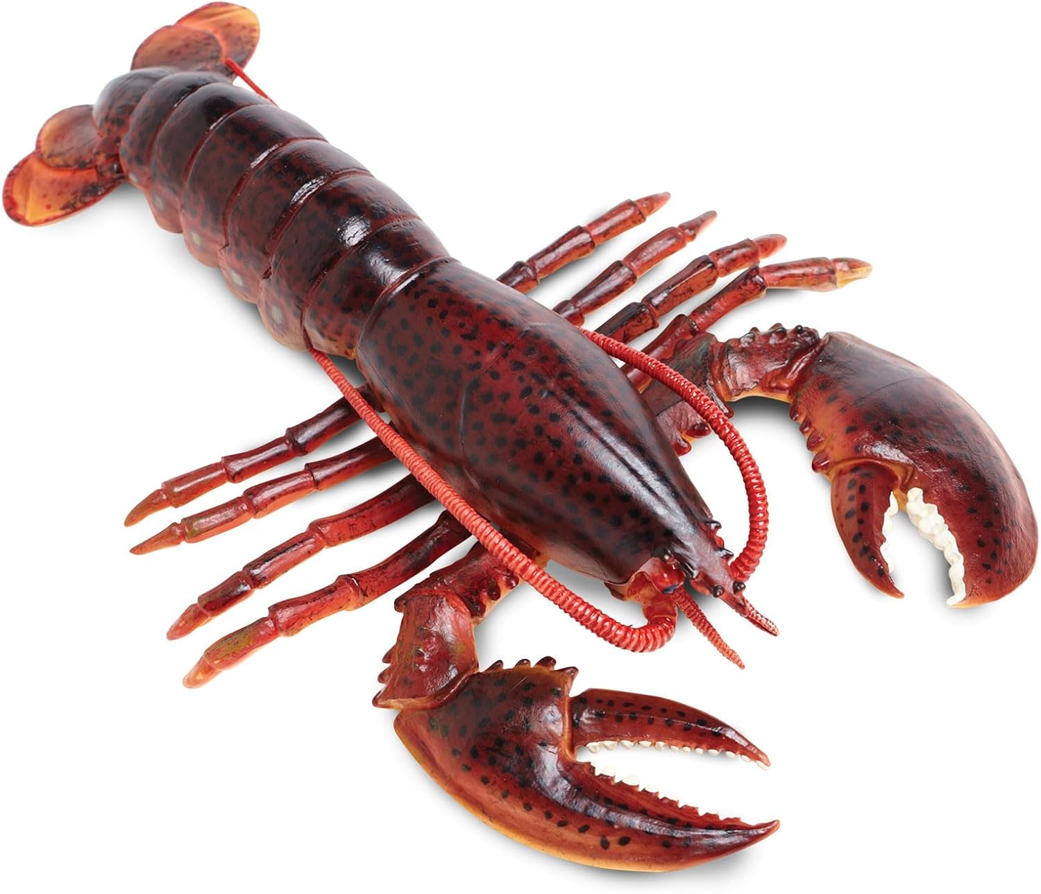 Amazon.com: Safari Ltd. Maine Lobster Figurine - Realistic 8 ...