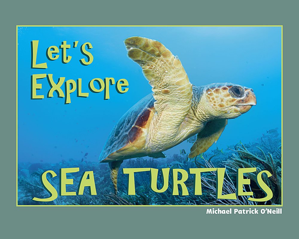 Let's Explore Sea Turtles: Michael Patrick O'Neill: 9780972865326 ...