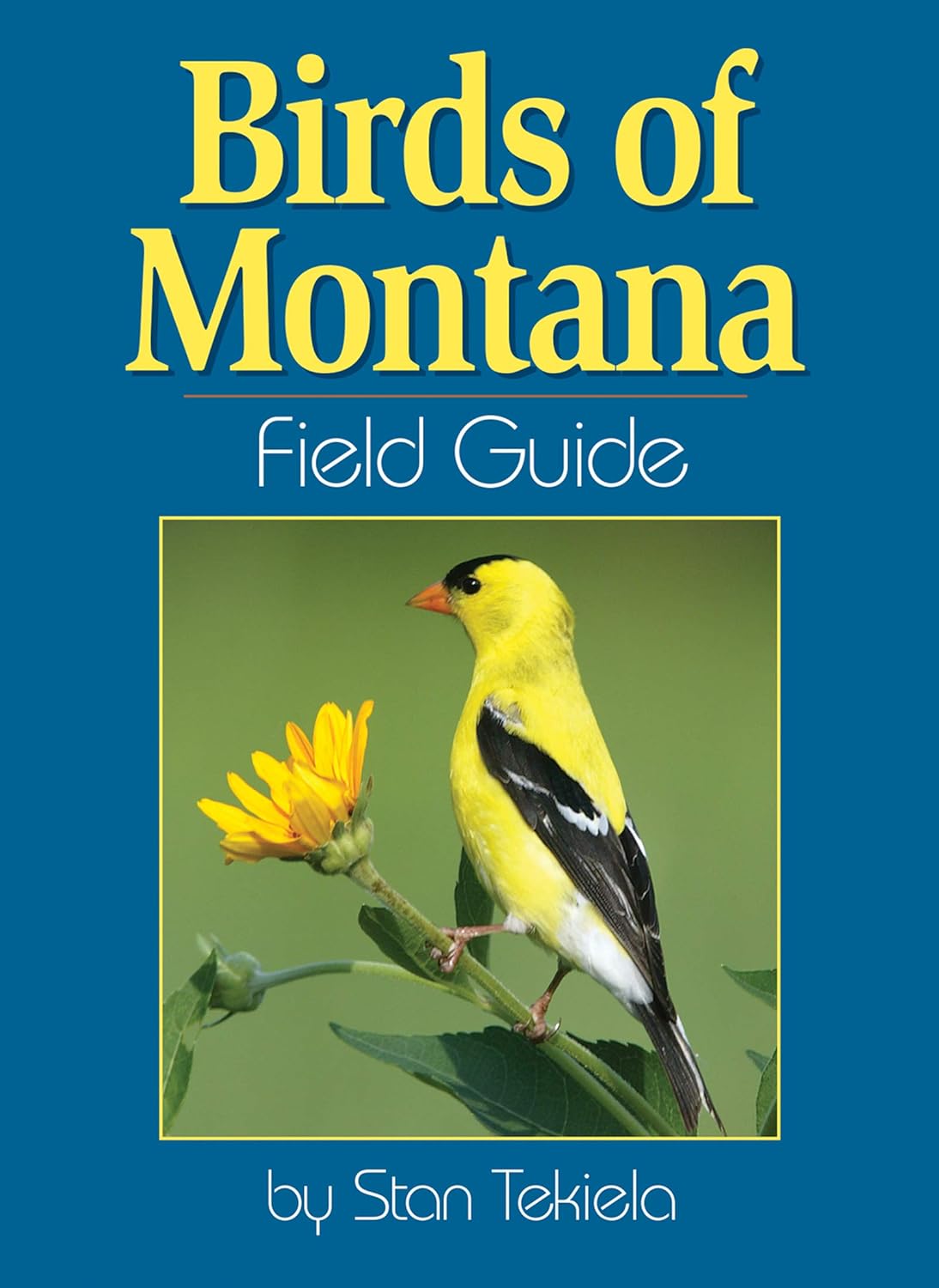 Birds of Montana Field Guide (Bird Identification Guides): Tekiela ...