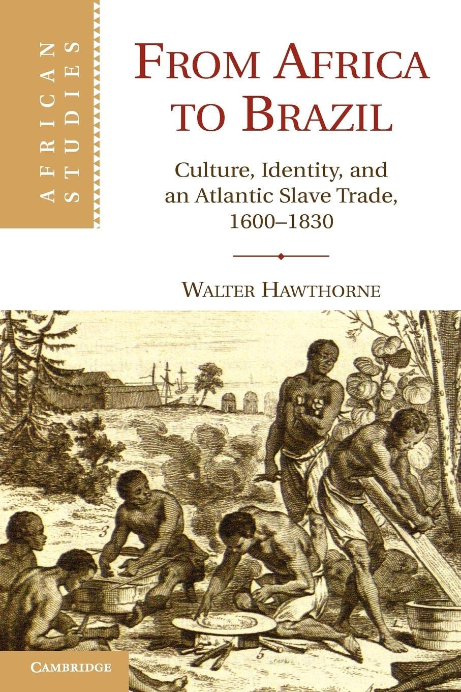 Amazon.com: From Africa to Brazil: Culture, Identity, and an Atlantic ...