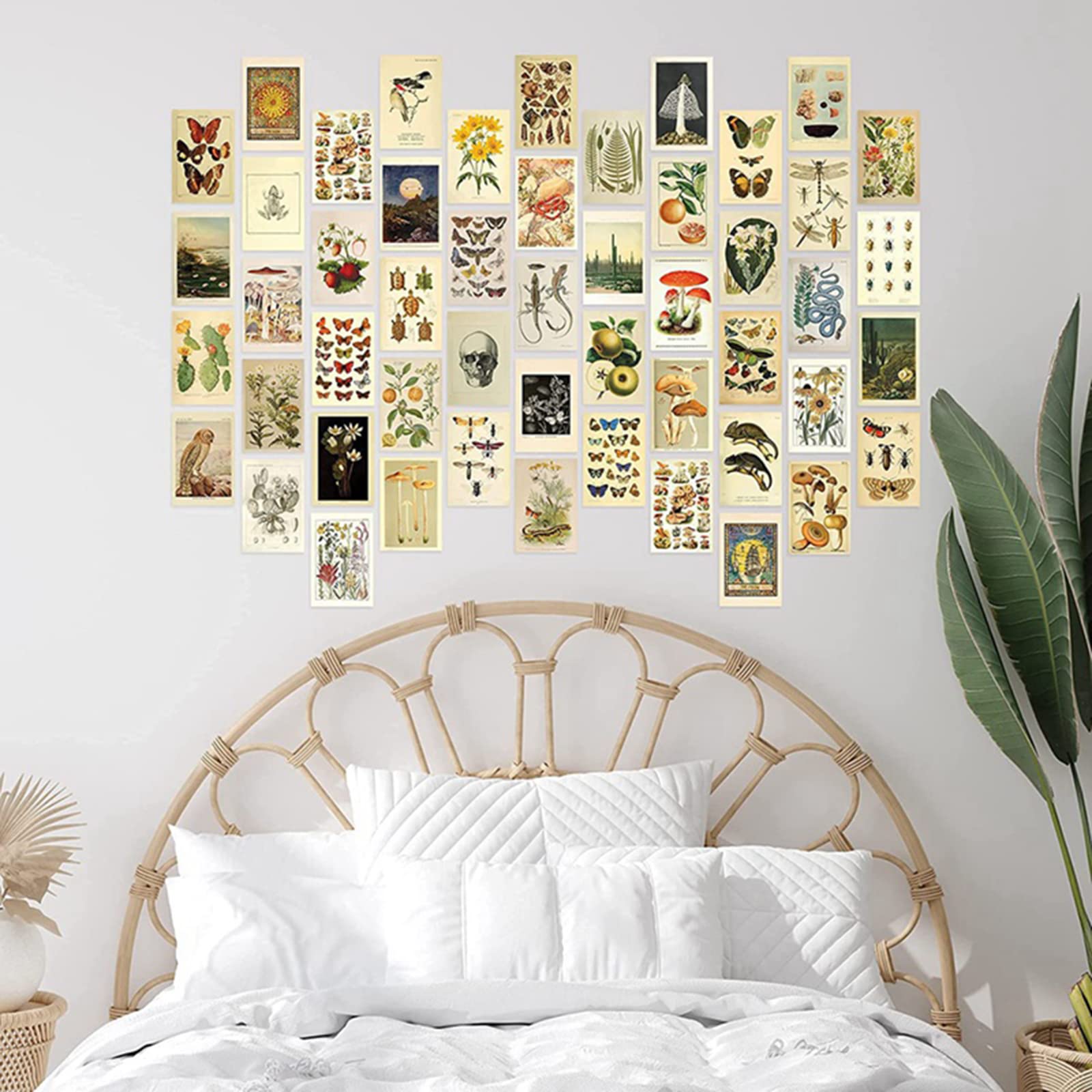 Buy 50 Pcs Vintage Aesthetic Wall Collage Kit, Mini Botanical ...