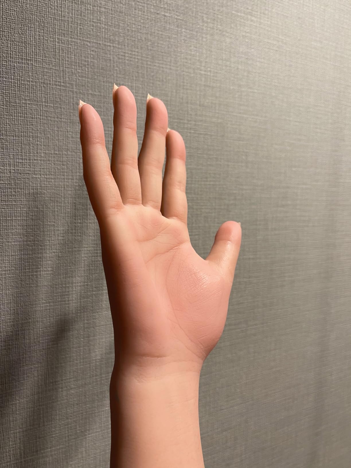 Amazon | MOTLEYBEAN 手 模型 ハンドモデル マネキン シリコン製手の模型 女性の手 デッサン手 手フェチ 絵画モデル 骨格 ...