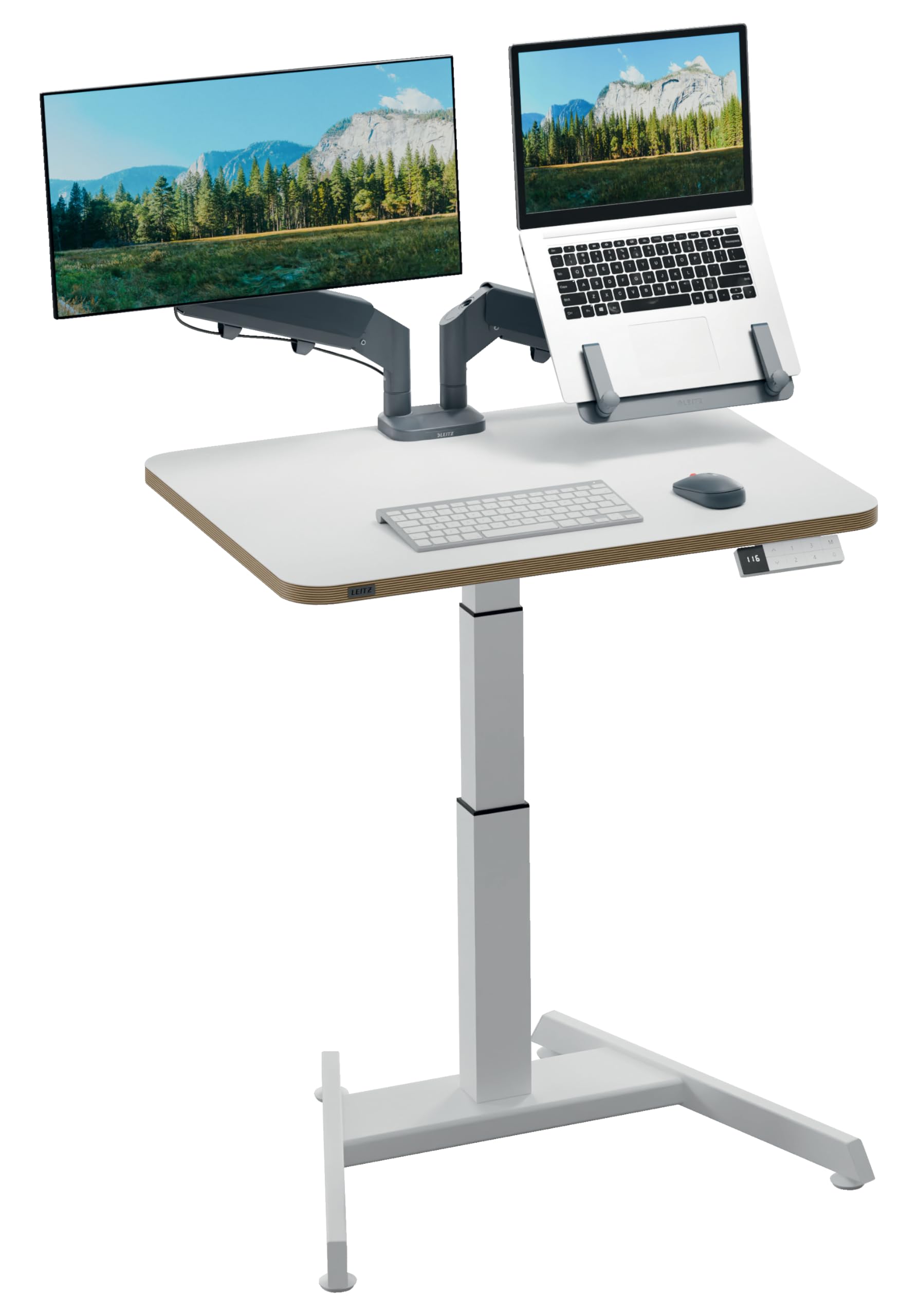 Leitz Ergo Small Electric Sit Stand Desk with Smart Stand-Up Reminder ...
