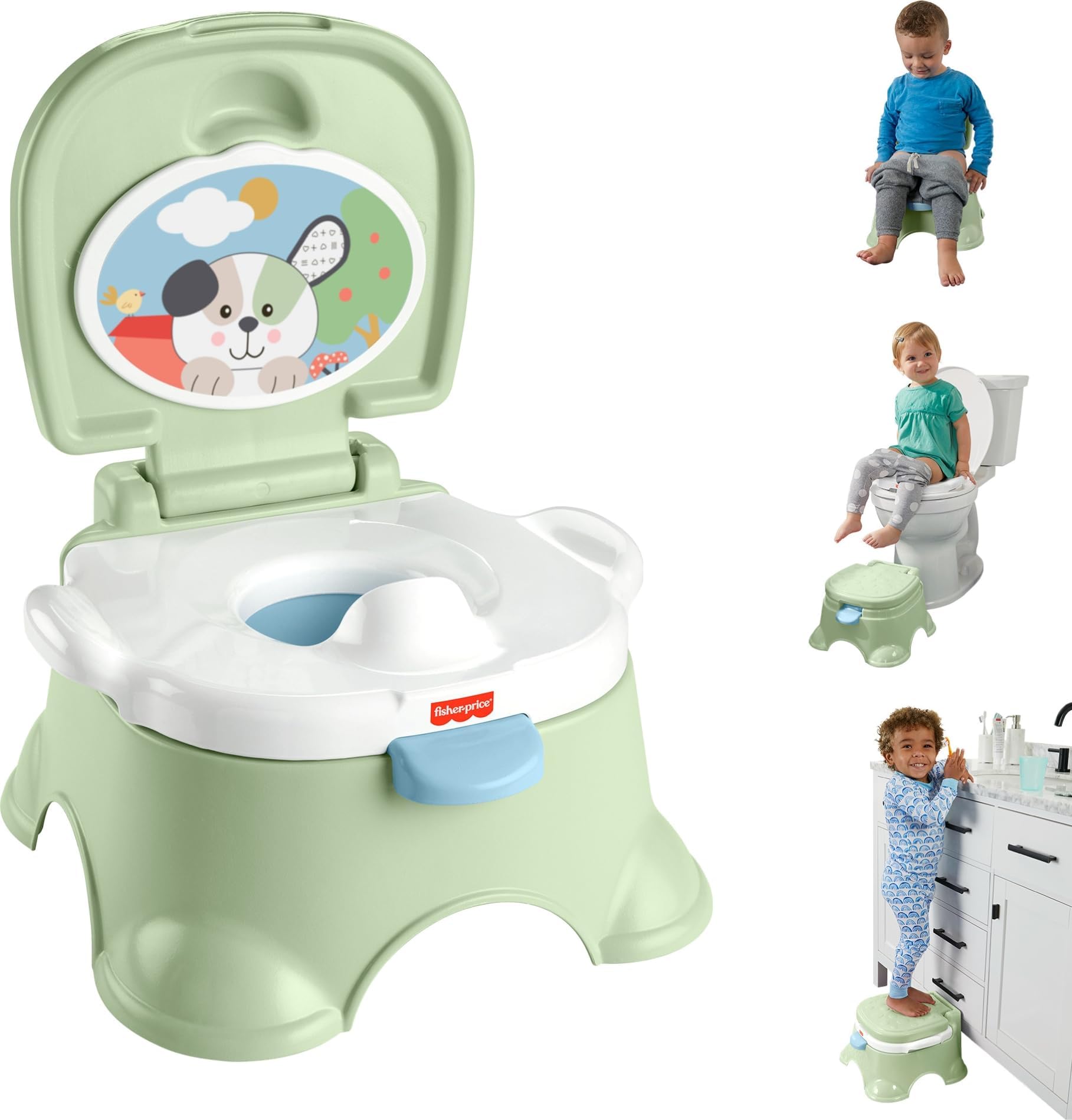 Amazon.com: Fisher-Price Learn-to-Flush Potty Multicolor