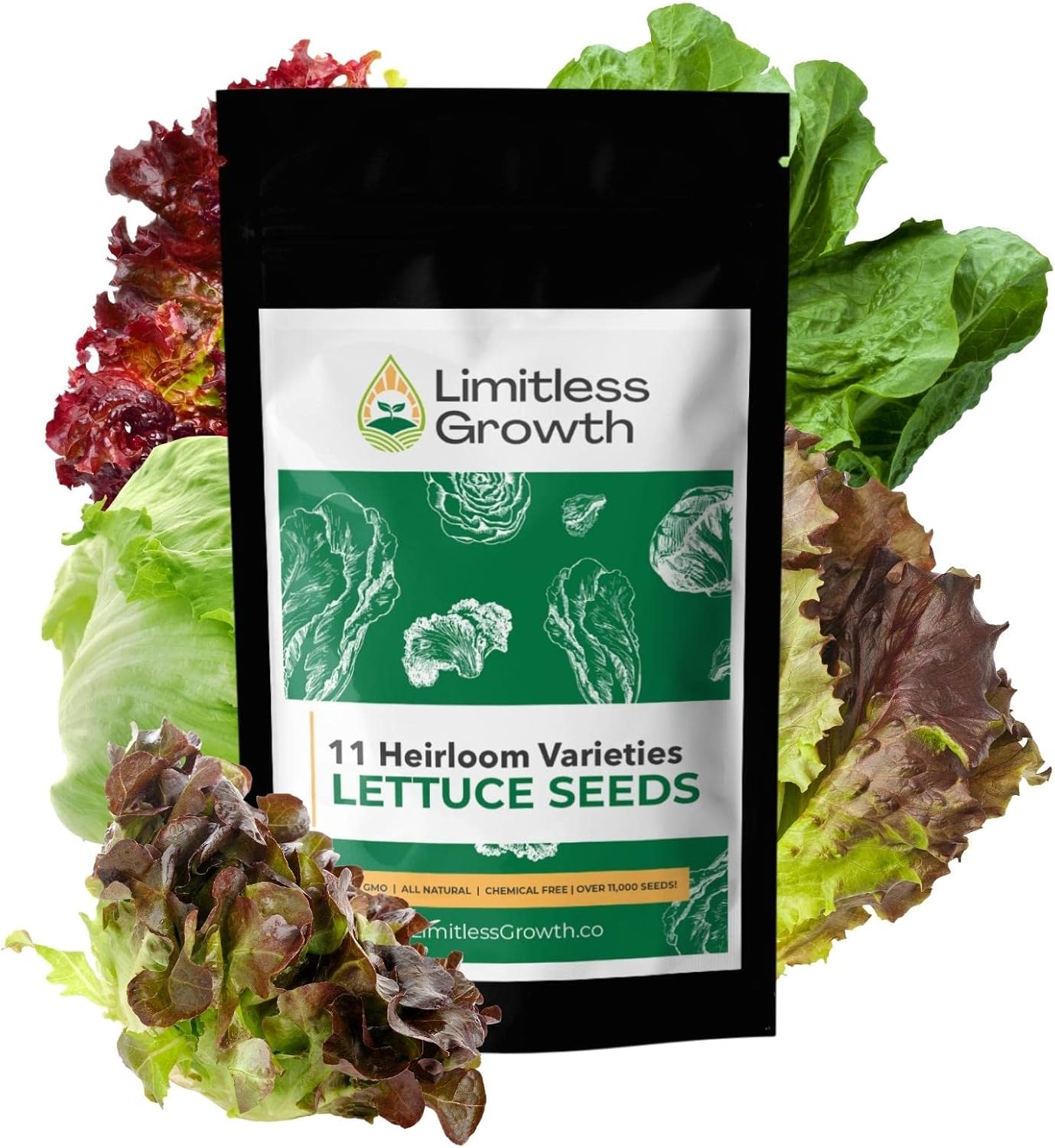 Lettuce Seed Variety Pack - 11 Heirloom Varieties - 11,000+ Seeds! Non ...