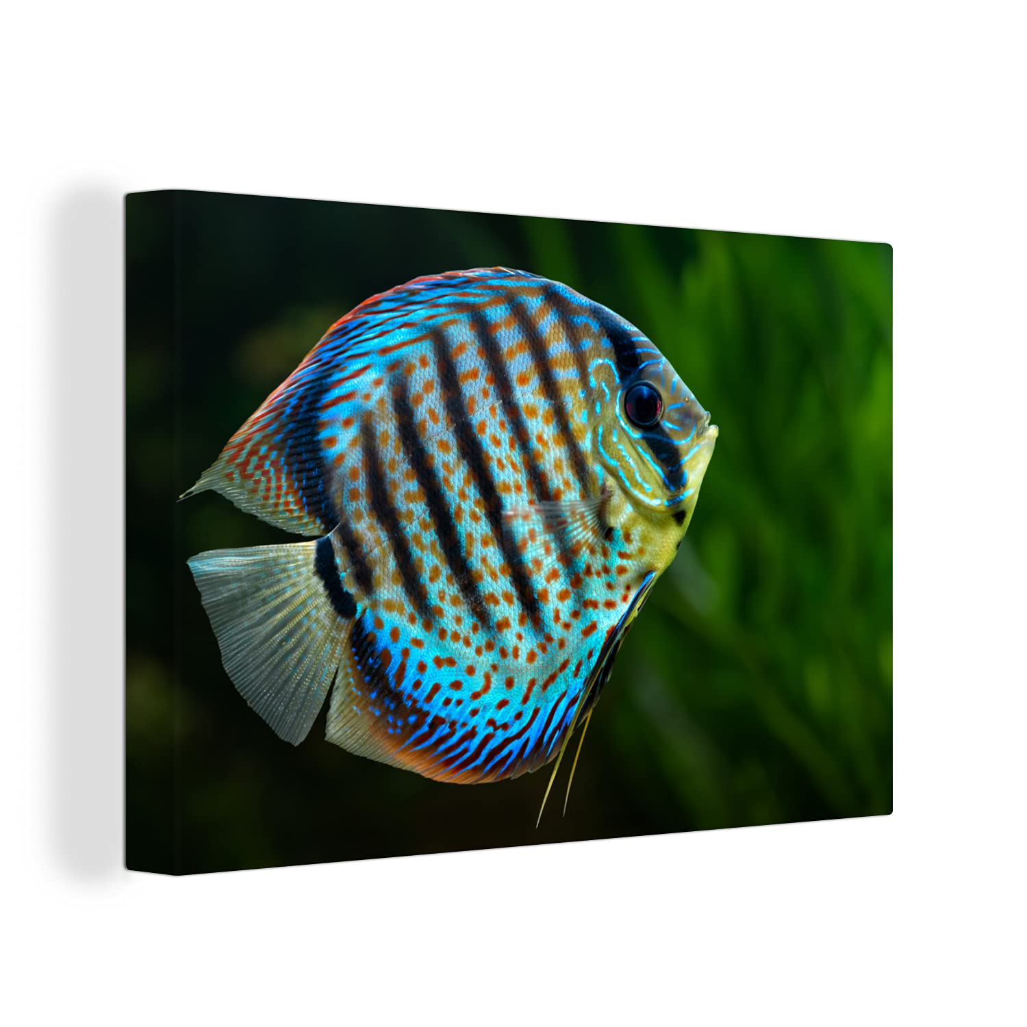 Ferdinand Magellans Signature